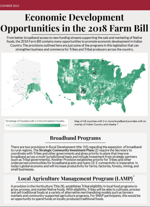 Economic Development Opportunities in the 2018 Farm Bill - Indigenous ...