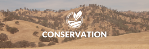 Conservation - Indigenous Food and Agriculture Initiative