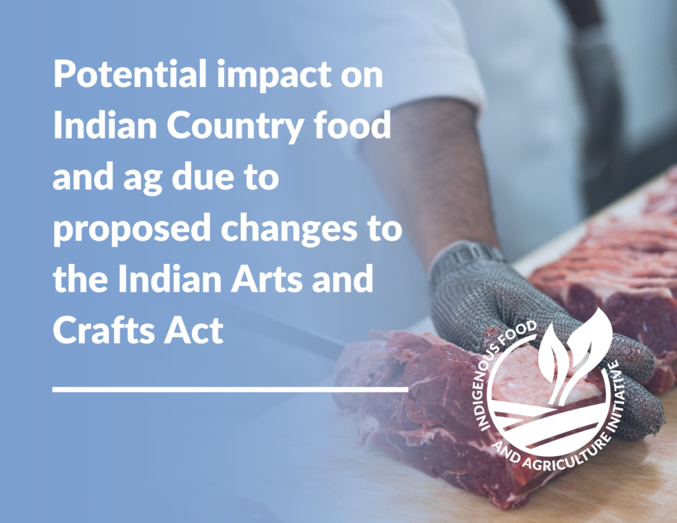 IFAI Executive Director Presents to MNIBA About IACA - Indigenous Food ...