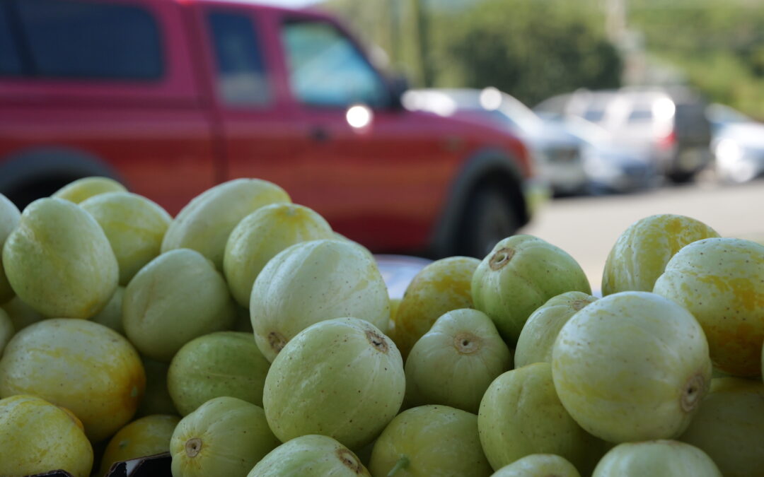 Indigenous Food and Agriculture Initiative Awarded Cooperative ...