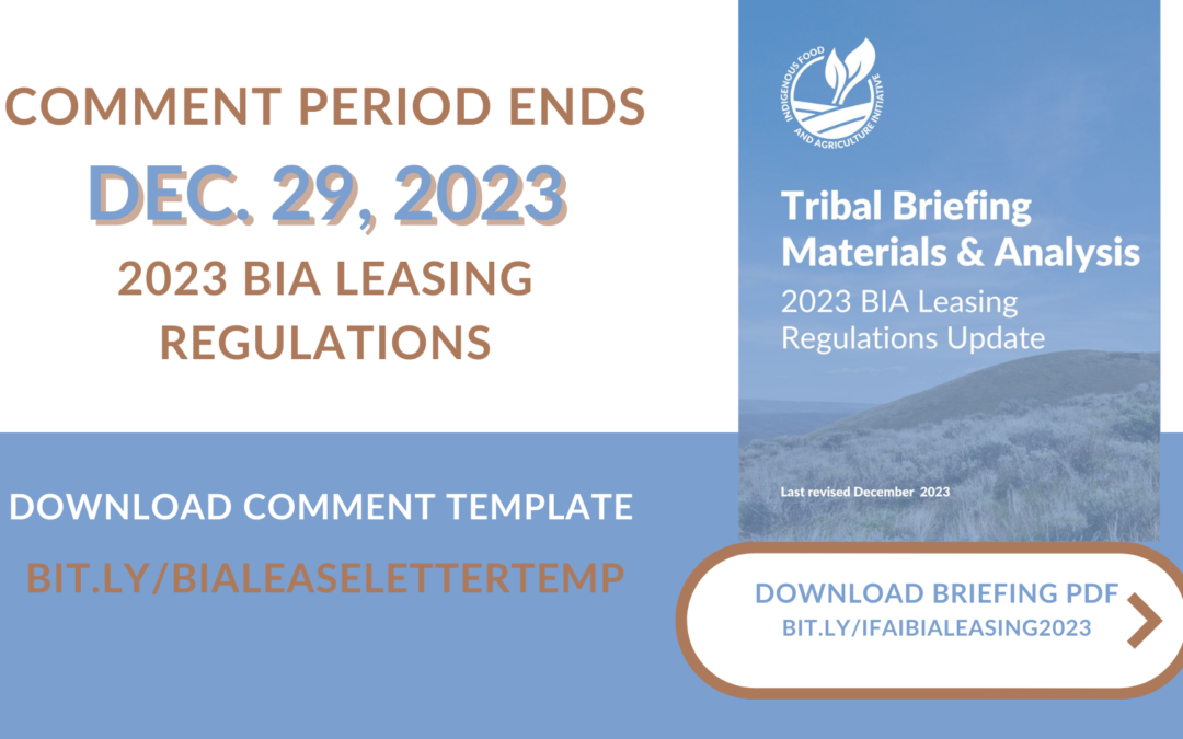 BIA Leasing Regulations Comment Period Ends December 29 - Indigenous ...