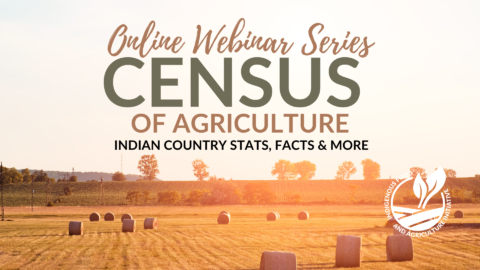 2022 Census of Agriculture Webinar Series: Indian Country Food and ...