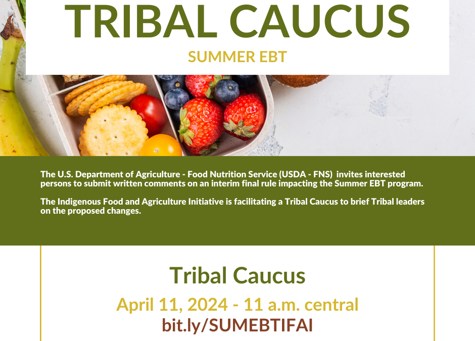Upcoming Tribal Caucus Summer EBT – April 11, 2024 @ 11 a.m. central ...